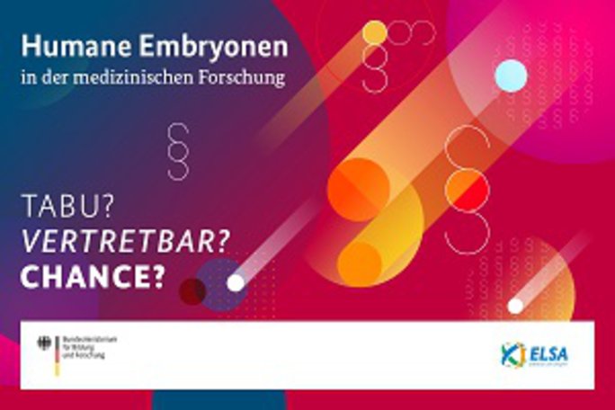 Humane Embryonen in der medizinischen Forschung: Tabu? – Vertretbar ...